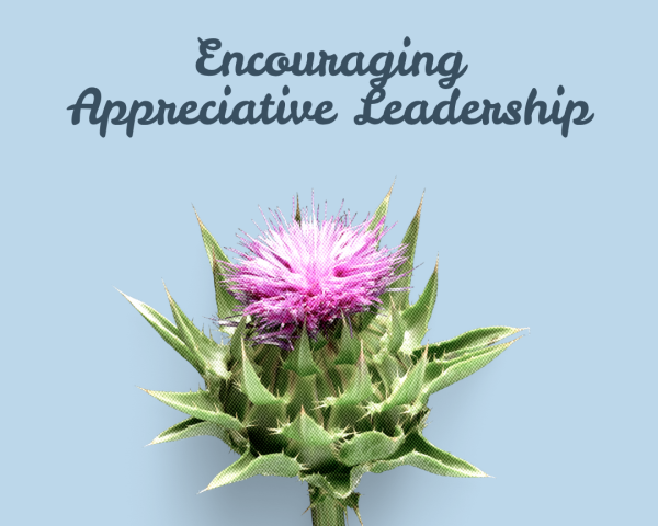 Encouraging Appreciative Leadership - Appreciating Church